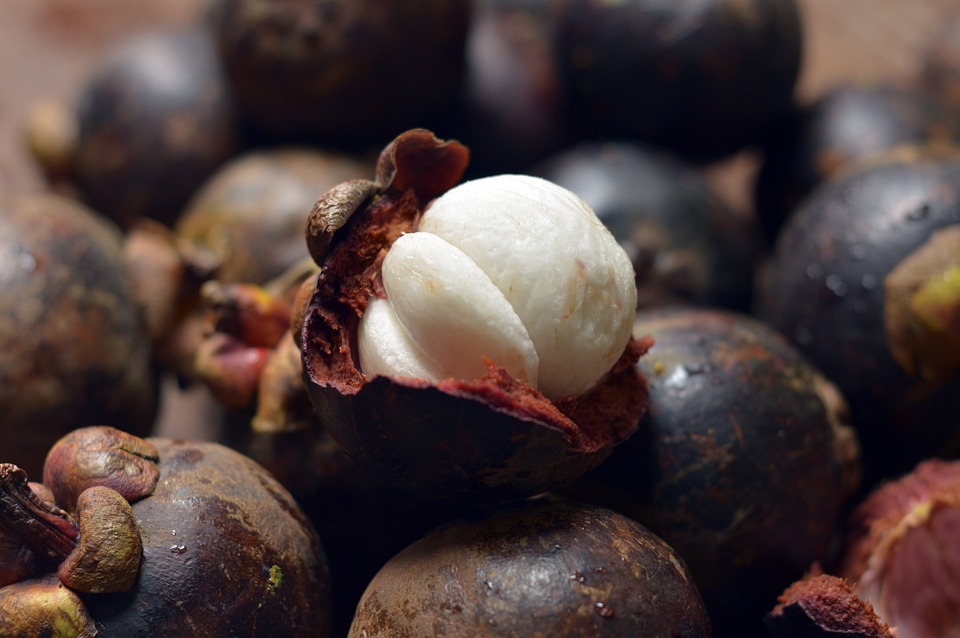 Mangosteen - Guru Kripa Nursery