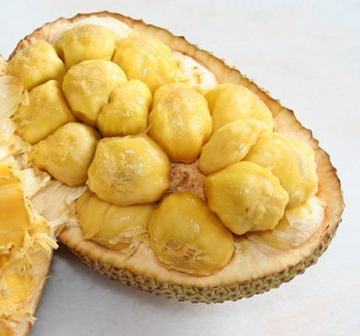 Chempedak - Guru Kripa Nursery